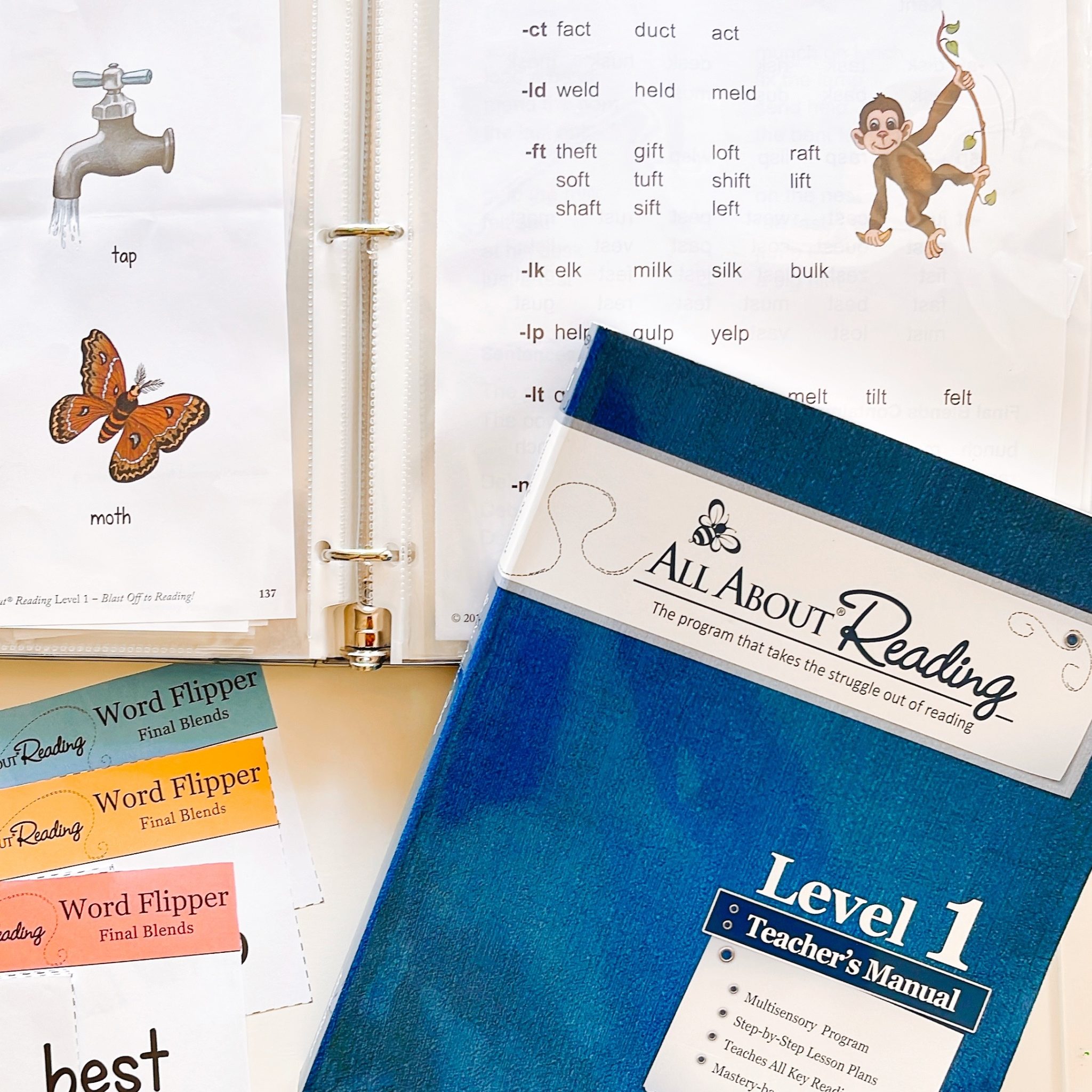 The Program that made My four-year-old a fluent early reader ...